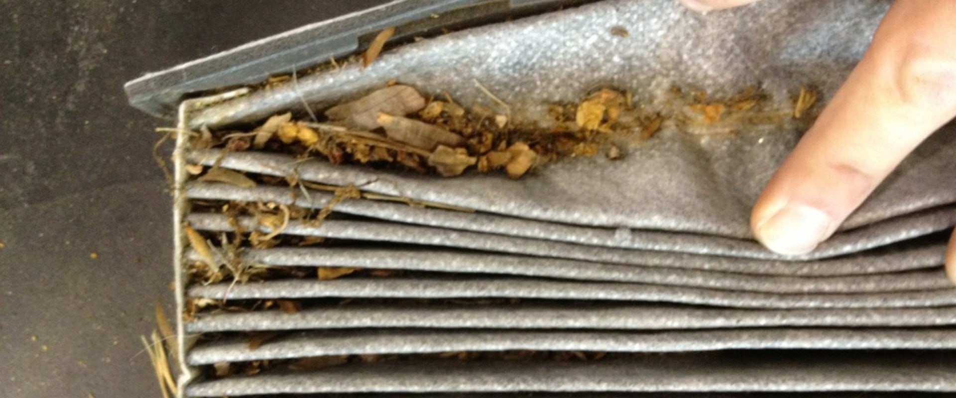 The Dangers of Not Changing Your Cabin Air Filter